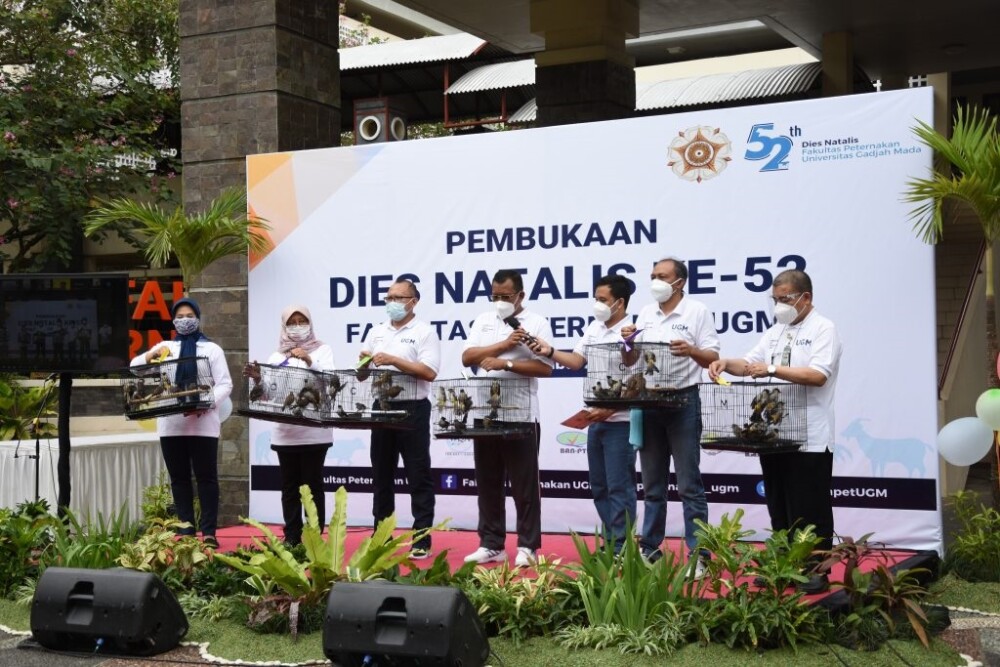 Rangkaian Kegiatan Dies Natalis Ke-52 Fakultas Peternakan UGM Telah Dibuka - Universitas Gadjah Mada
