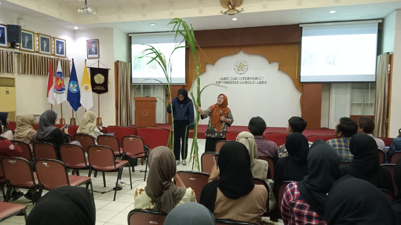 UGM Introduces Gama Umami Grass to Boost Animal Feed Self-Sufficiency ...