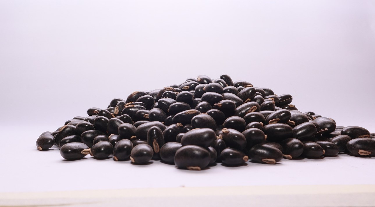 Kacang Kara Benguk Potensial Sebagai Terapi Preventif Osteoartritis ...