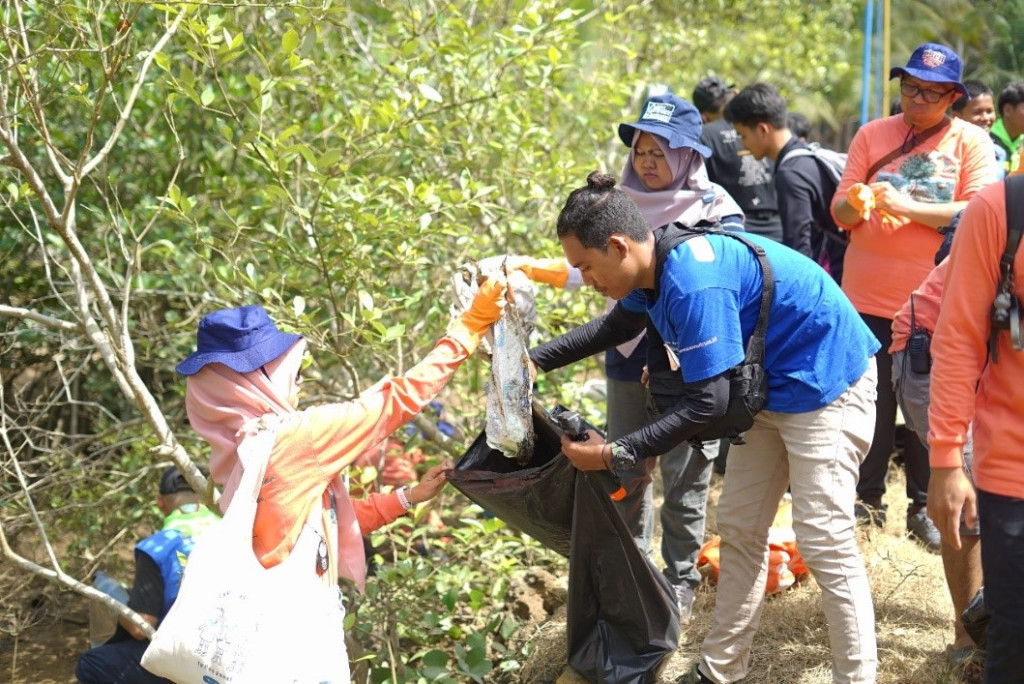 UGM Plants Mangrove Seedlings and Conducts Trash Cleanup in Banyuwangi ...