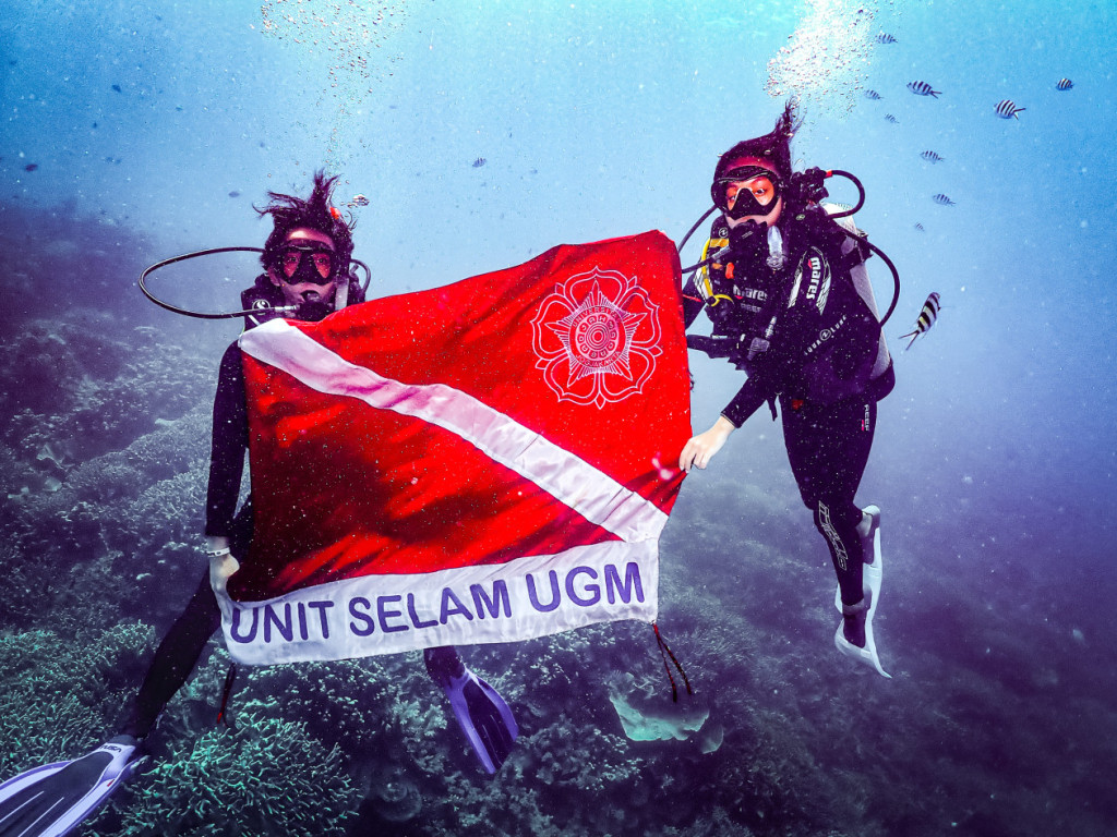 Ikut Jambore Selam Nasional, Mahasiswa UGM Jelajah Keindahan Bawah Laut ...
