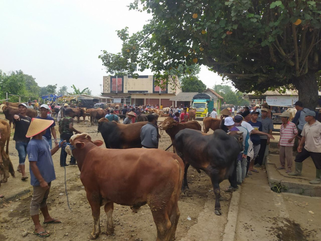 UGM Team Studies Sustainable Food Reserves Near Mount Merapi ...