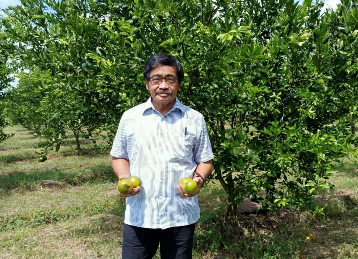 Professor Masyhuri Retires After 45 Years of Dedication to Agricultural Economics and Farmers ...