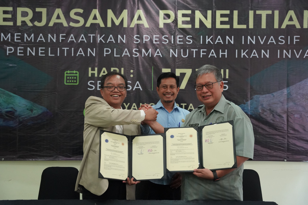 UGM Gandeng GL Zoo Kerja Sama Riset Plasma Nutfah Spesies Ikan Invasif ...