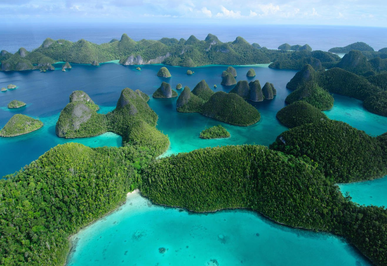 Destroying Ecosystems and Biodiversity, UGM Expert Urges Halting Mining ...