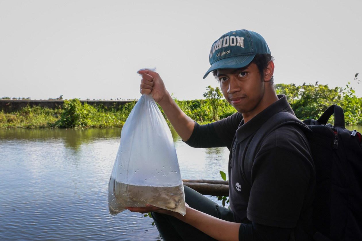 UGM Tebar 5000 Wader Pari di Sungai Baros, Kretek Bantul - Universitas ...