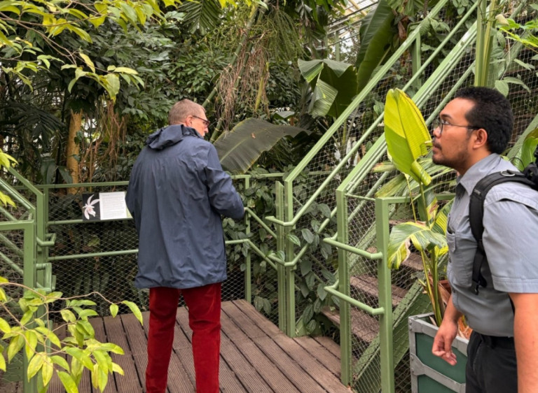 Nutmeg Plant Research Brings UGM Biology Student to Leiden’s Herbarium ...