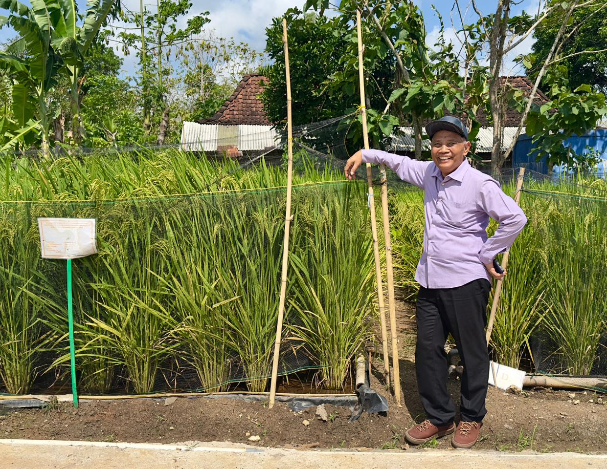 FT UGM Develops Geomembrane-Based Irrigation System to Boost Rice Farming in Dryland Areas ...