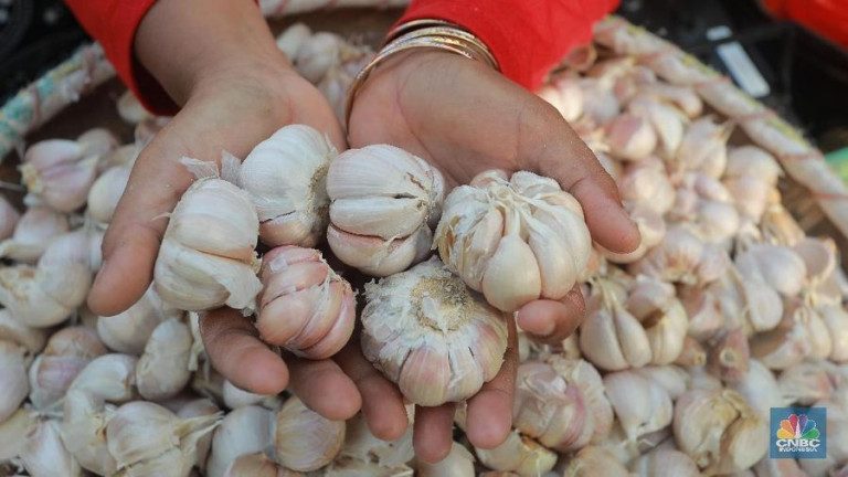 Garlic Self-Sufficiency Target Calls for More Attention to Farmers ...