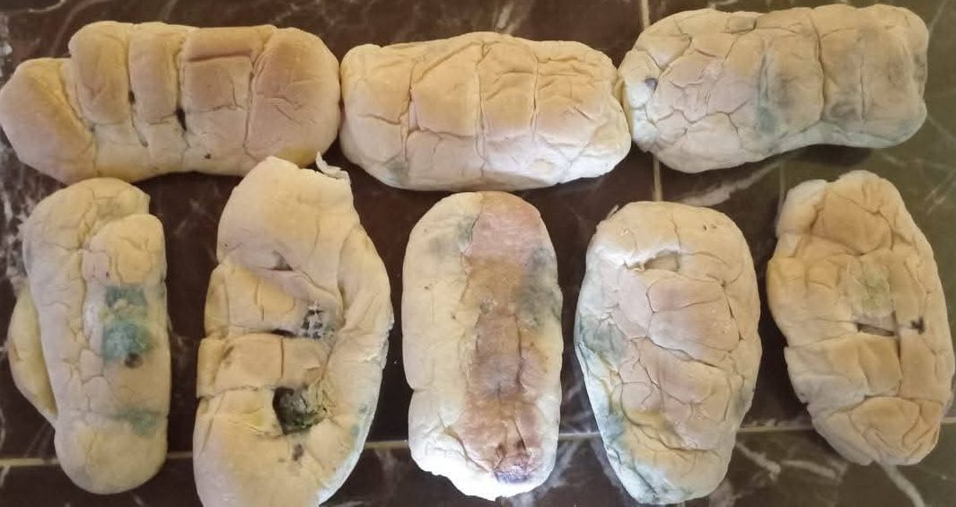 Roti MBG Ditemukan Berjamur, Guru Besar UGM Sampaikan Resiko Kesehatan ...